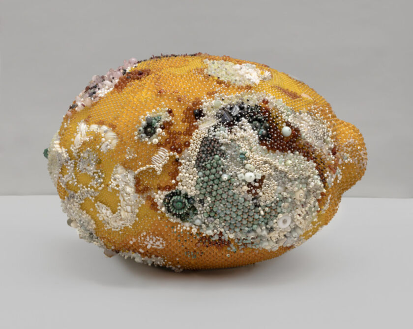 Kathleen Ryan: bejeweled rotting fruit sculptures