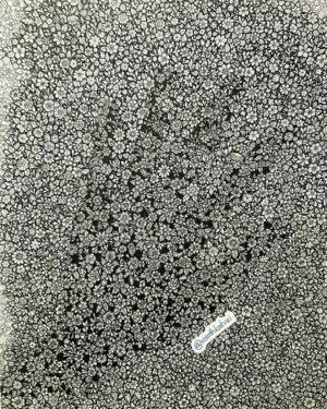 Beyond the pen: how Visoth Kakvei transforms doodles into dimensions ...