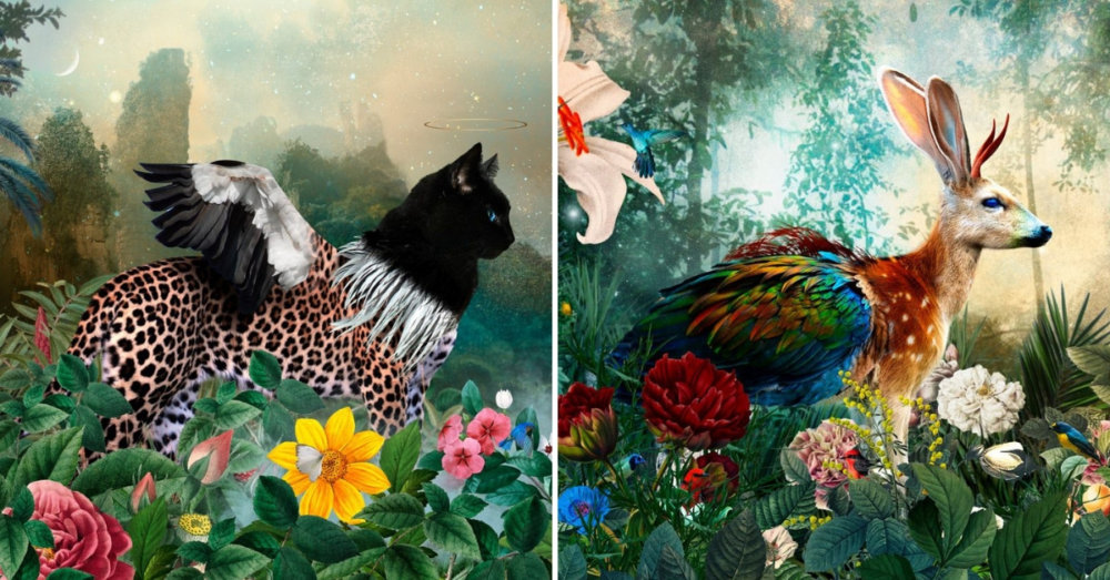 Gorgeous collages of cross-breed creatures by André Sanchez