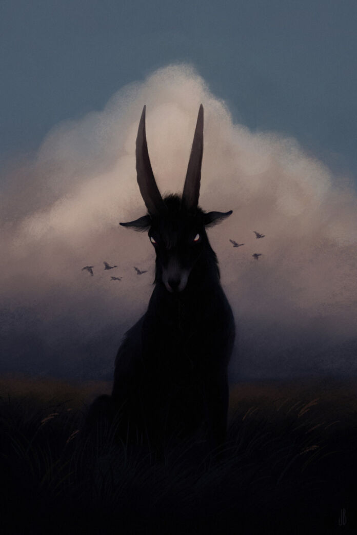 Jenna Barton: shadowy animal illustrations in liminal spaces