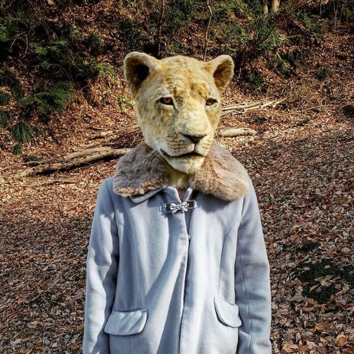 Experience the artistry of Kamonohashi Zokei's hand-made, hyper ...