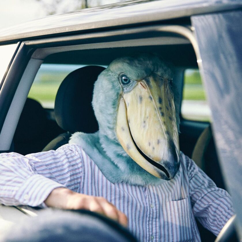 Kamonohashi Zokei: hyper-realistic hand-made animal masks