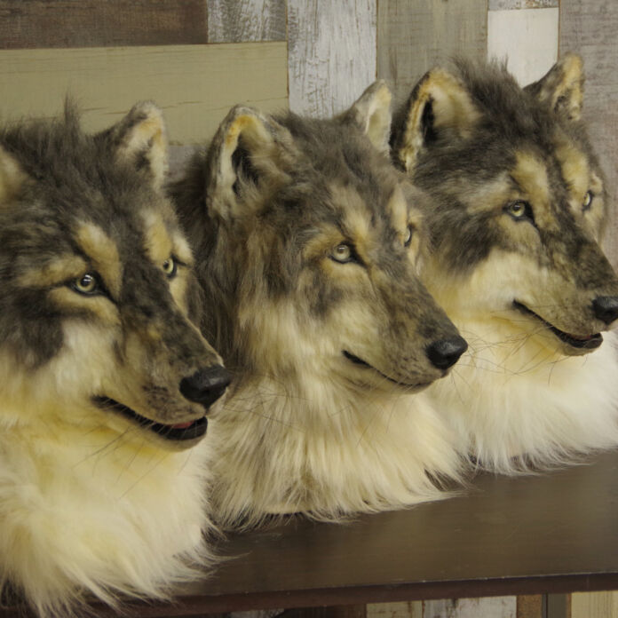 Kamonohashi Zokei: hyper-realistic hand-made animal masks