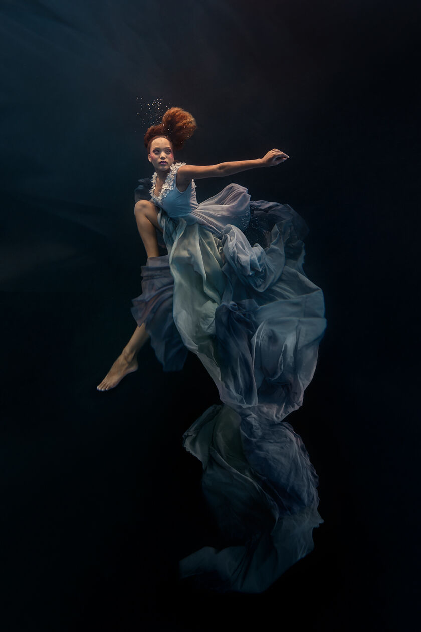 Ilse Moore: underwater photography series Silver Swallow