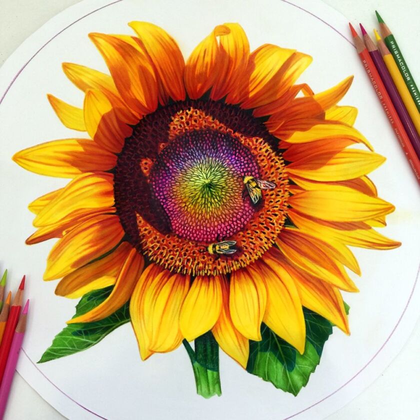 Morgan Davidson: hyper-realistic pencil drawings