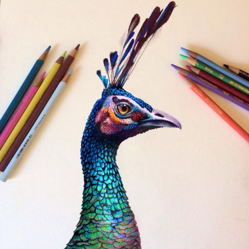 Morgan Davidson: hyper-realistic pencil drawings