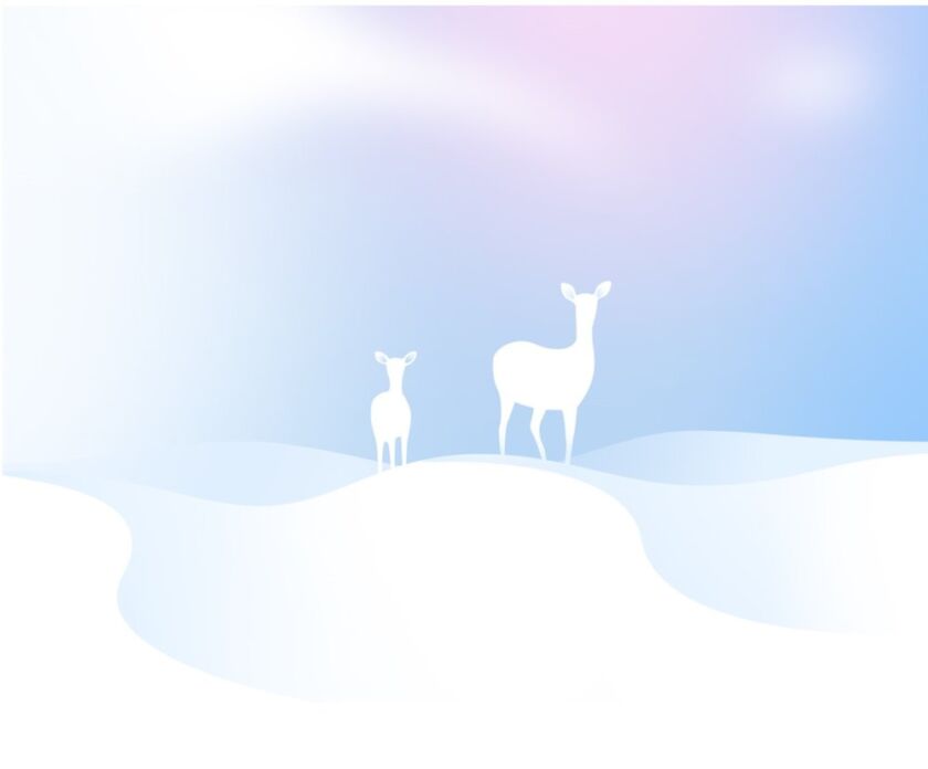 Effy Zhang: minimalist colorful landscape illustrations