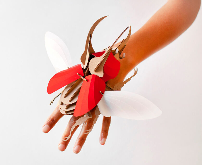 Craft your own creepy crawly: unleash the inner entomologist with ...