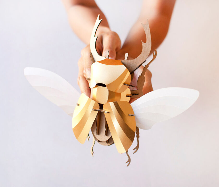 Craft your own creepy crawly: unleash the inner entomologist with ...