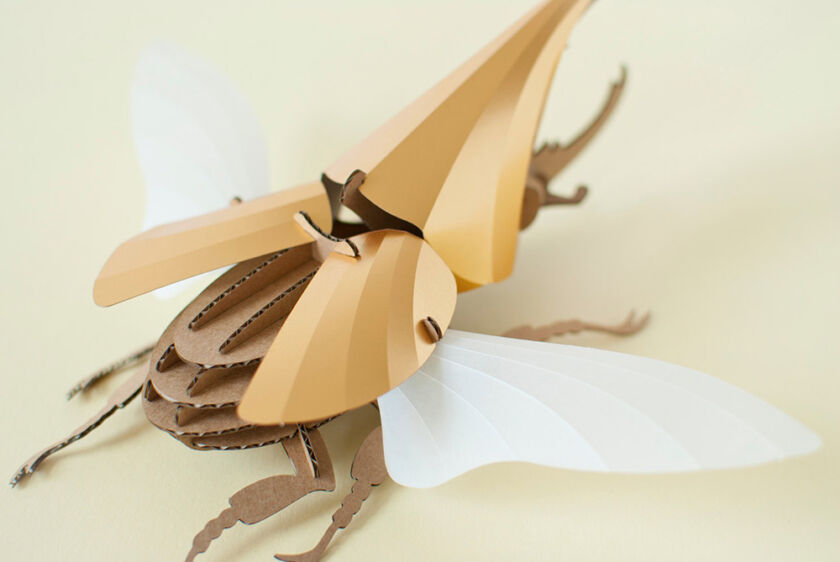 Craft your own creepy crawly: unleash the inner entomologist with ...