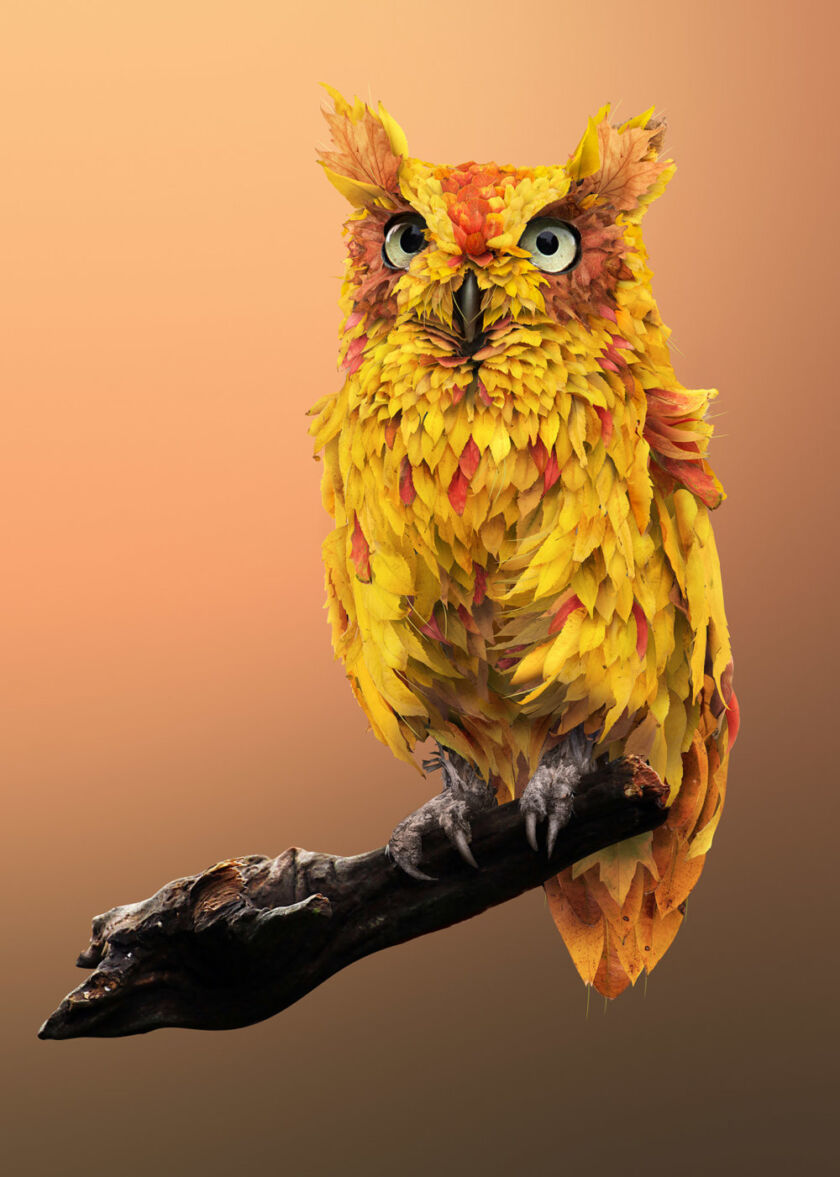 Josh Dykgraaf: surreal animals made from nature's elements