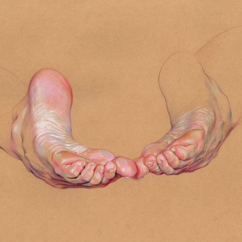 WanJin Gim: anatomical colored pencil drawings