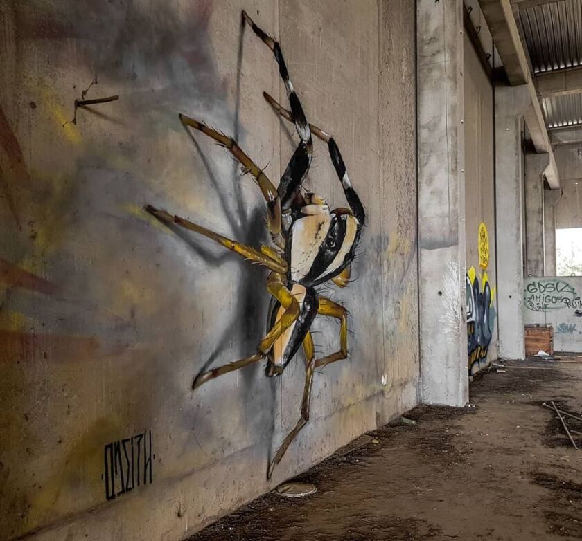 Odeith's giant insects: massive murals transform walls with ...