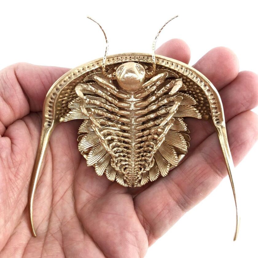 Artist Dr. Allan Drummond creates stunningly realistic insect metal ...