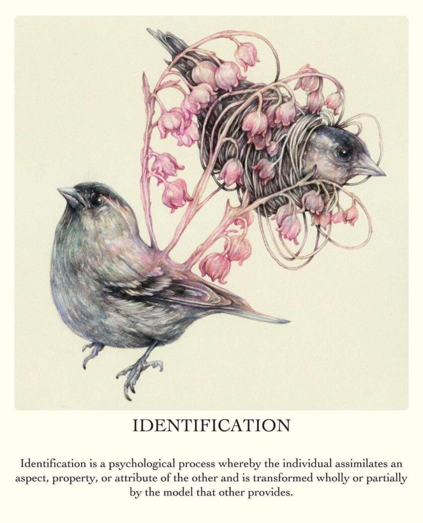 Marco Mazzoni: allegorical drawings of women and nature