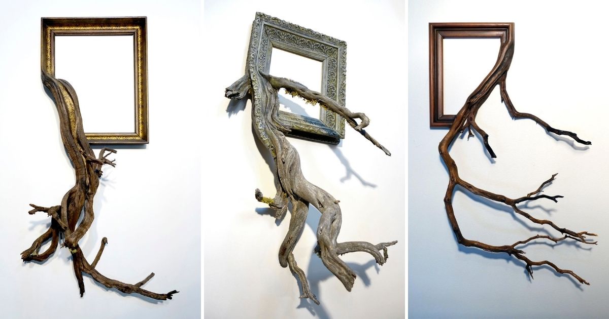 Branching Out: tree roots and branches fused with ornate picture frames ...