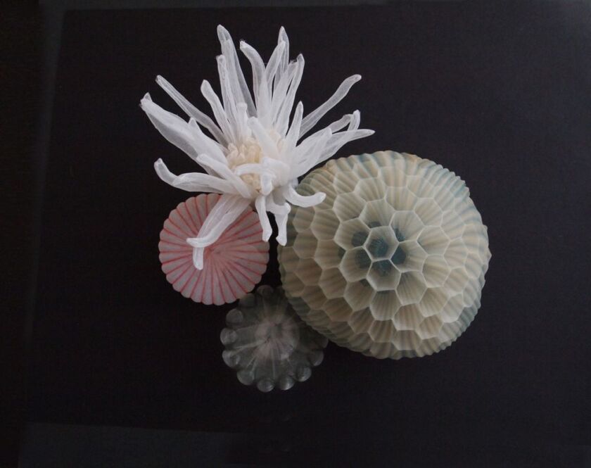 Absolutely stunning translucent textile sculptures in the shape of ...
