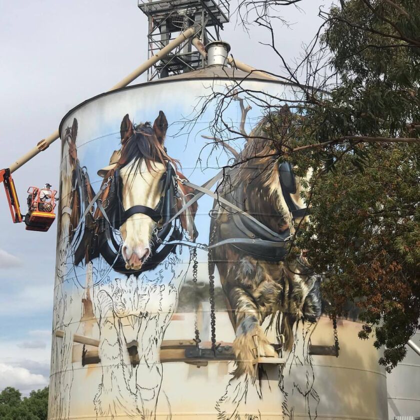 Urban jungle: mesmerizing animal murals in large-scale of Dvate ...