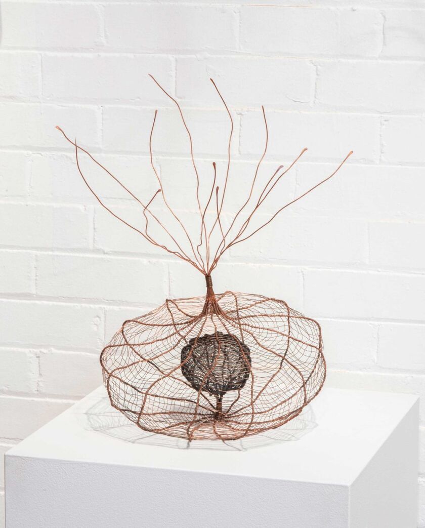 Sally Blake: seed pod and sea creature wire sculptures
