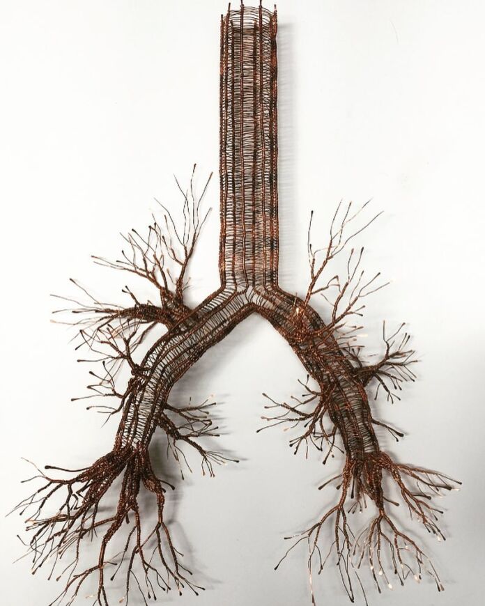 Sally Blake: seed pod and sea creature wire sculptures