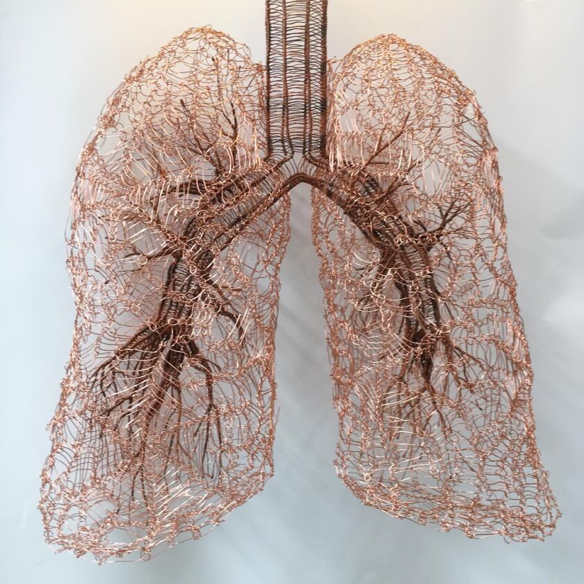 From seed pods to sea creatures: the enchanting wire sculptures of ...