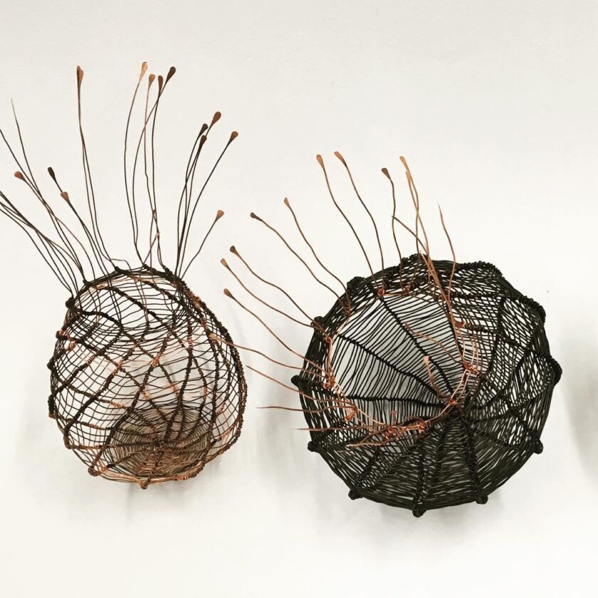 Sally Blake: seed pod and sea creature wire sculptures