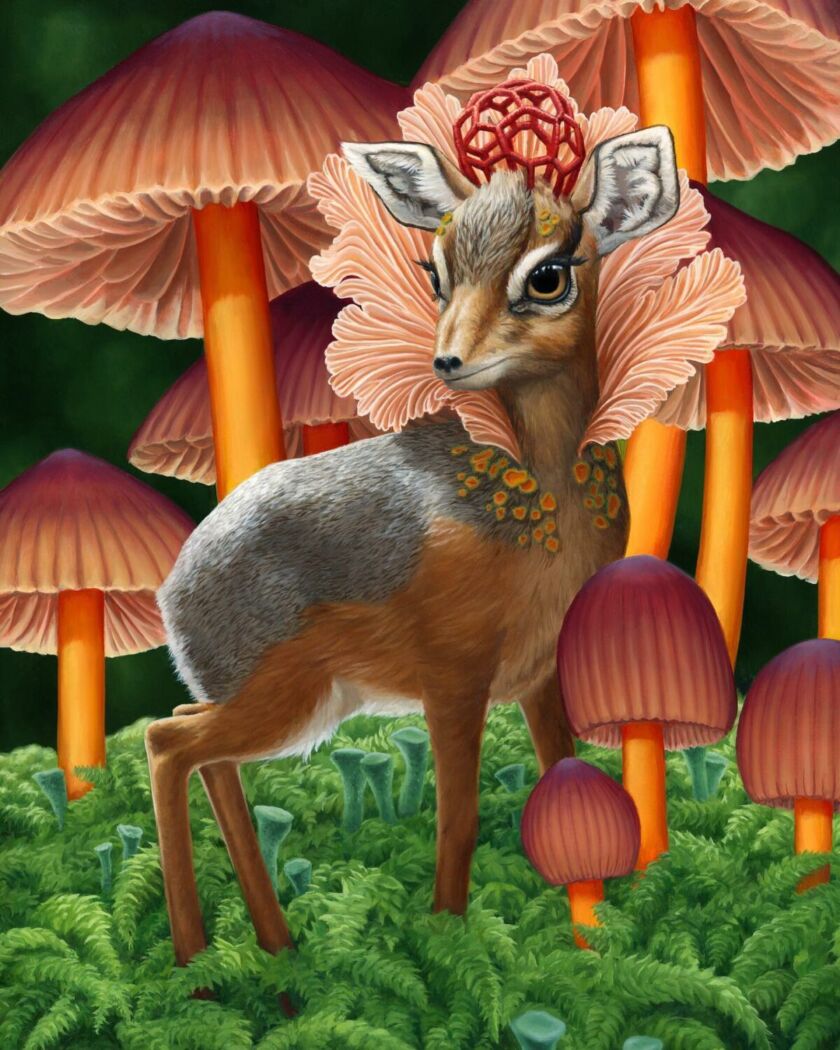 Jon Ching: vibrant hybrid animal illustrations