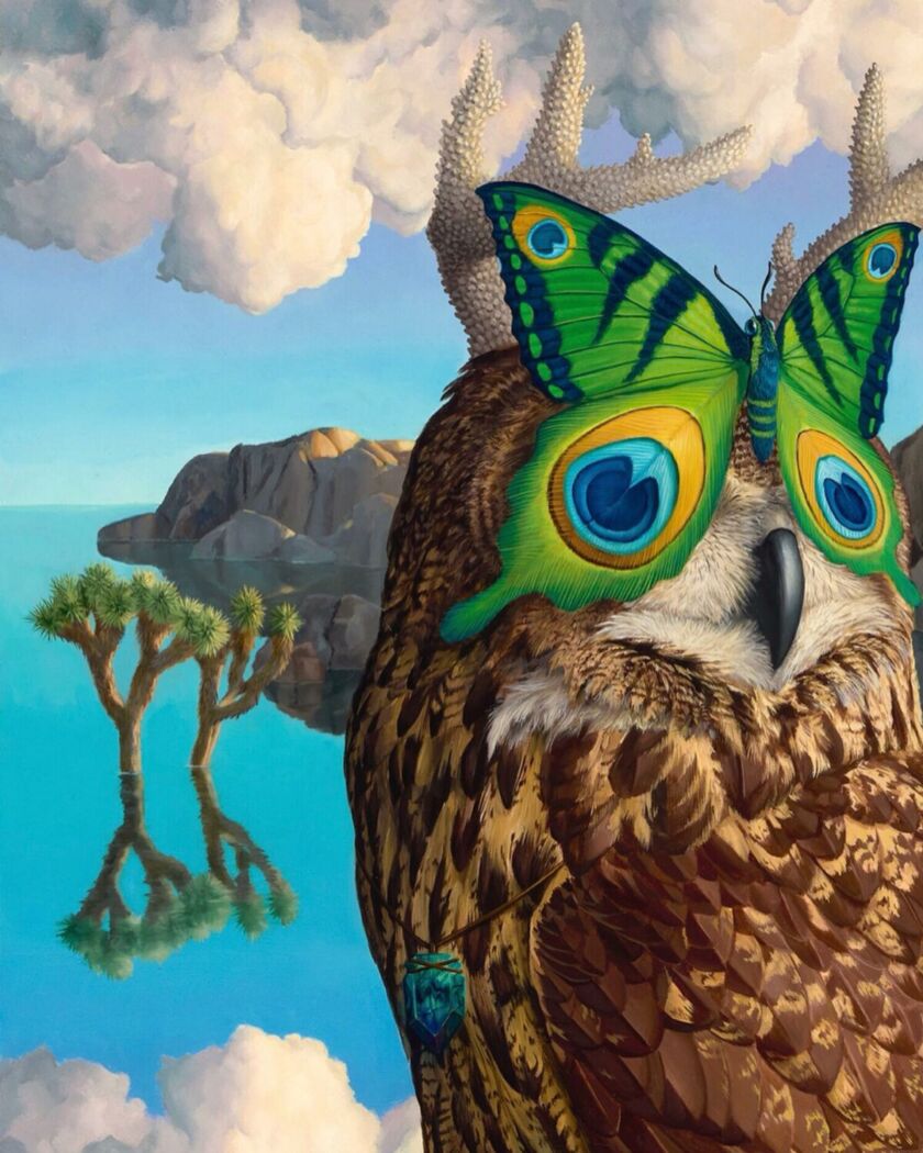Jon Ching: vibrant hybrid nature celebration illustrations — Visualflood