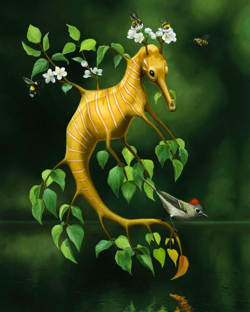 Jon Ching: vibrant hybrid animal illustrations