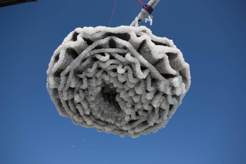 Sigalit Landau: objects turned into salt crystal sculptures