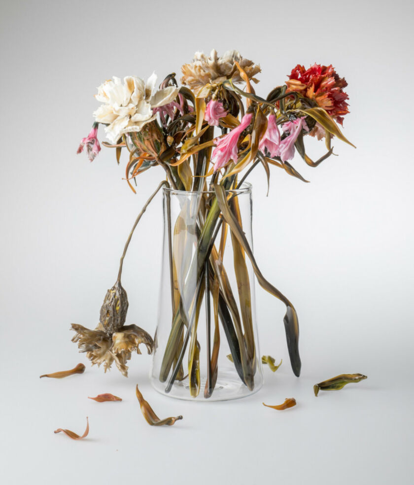 Glass still-life: Lilla Tabasso’s glass creations capture nature’s ...