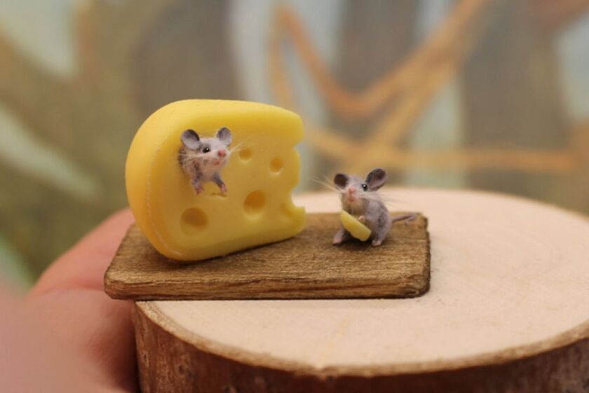 Katie Doka: lifelike miniature animal sculptures