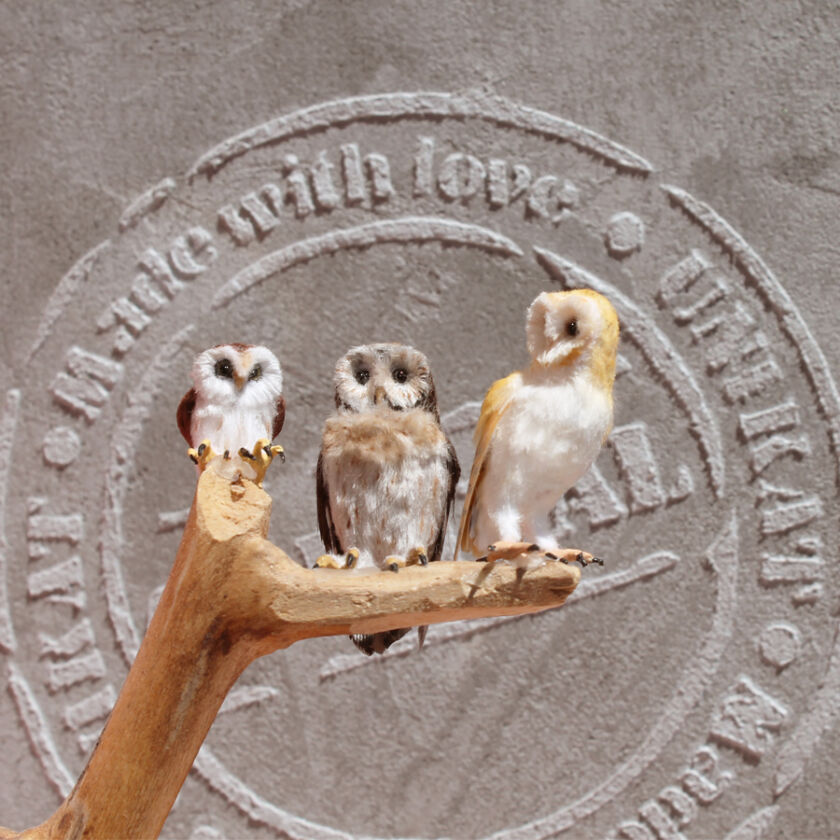 Katie Doka: lifelike miniature animal sculptures