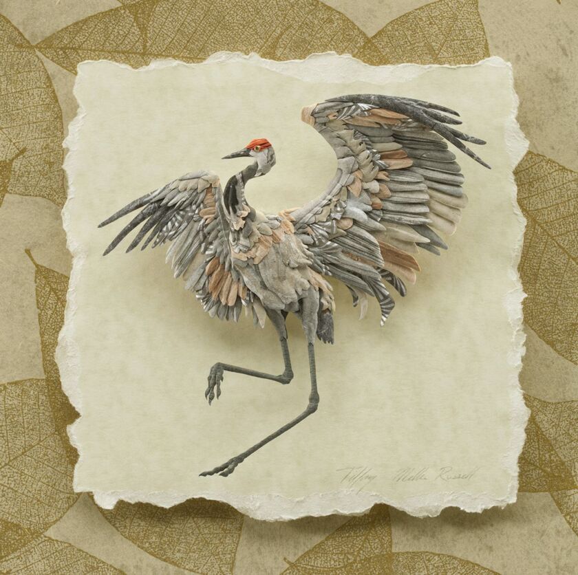 Tiffany Miller Russell: wildlife paper cut sculptures