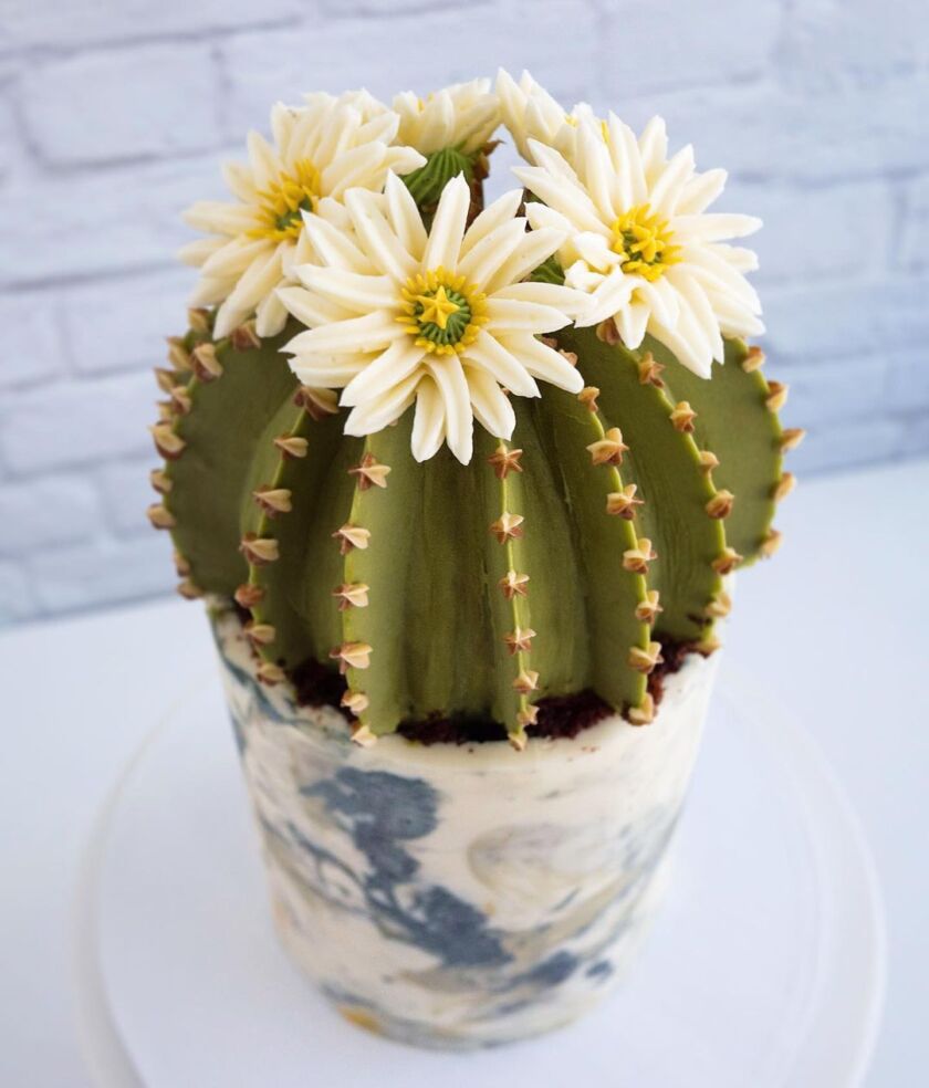 The magic of Leslie Vigil's buttercream art: lifelike cacti and ...