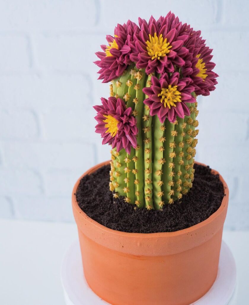 The magic of Leslie Vigil's buttercream art: lifelike cacti and ...