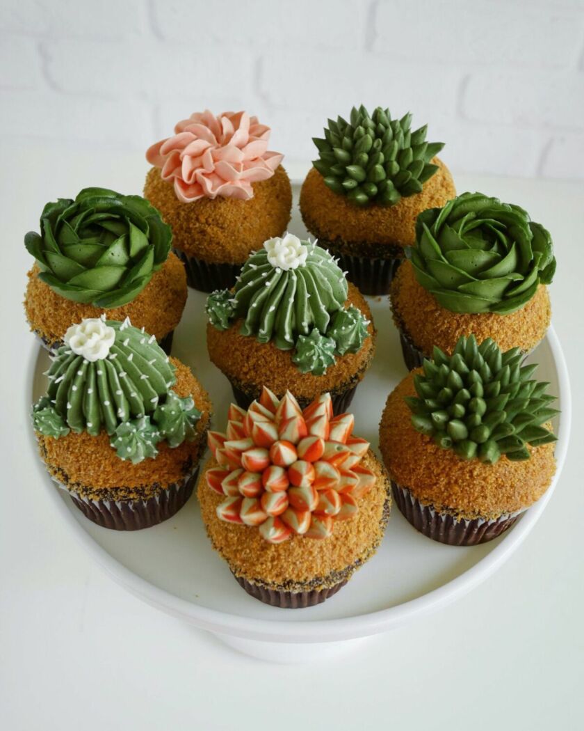 The magic of Leslie Vigil's buttercream art: lifelike cacti and ...