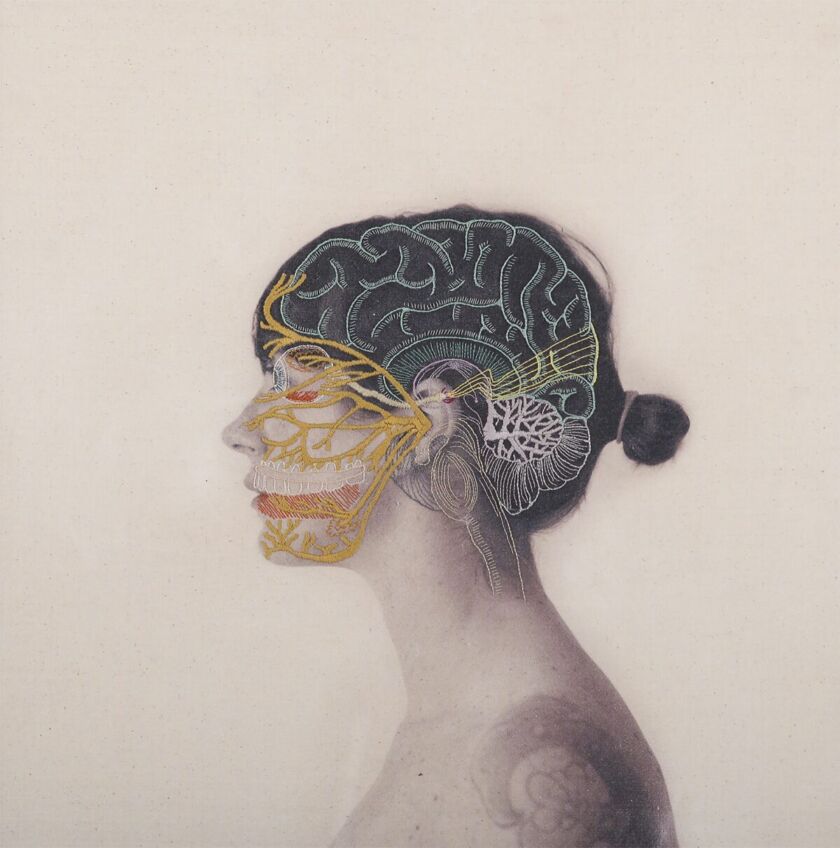 Constructal: self-portraits embroidered with anatomical figures by ...