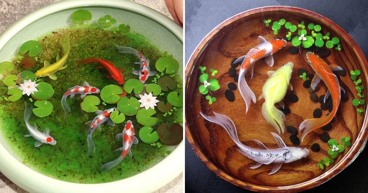 Beneath the surface: detailed 3D paintings of fish in resin ponds by ...