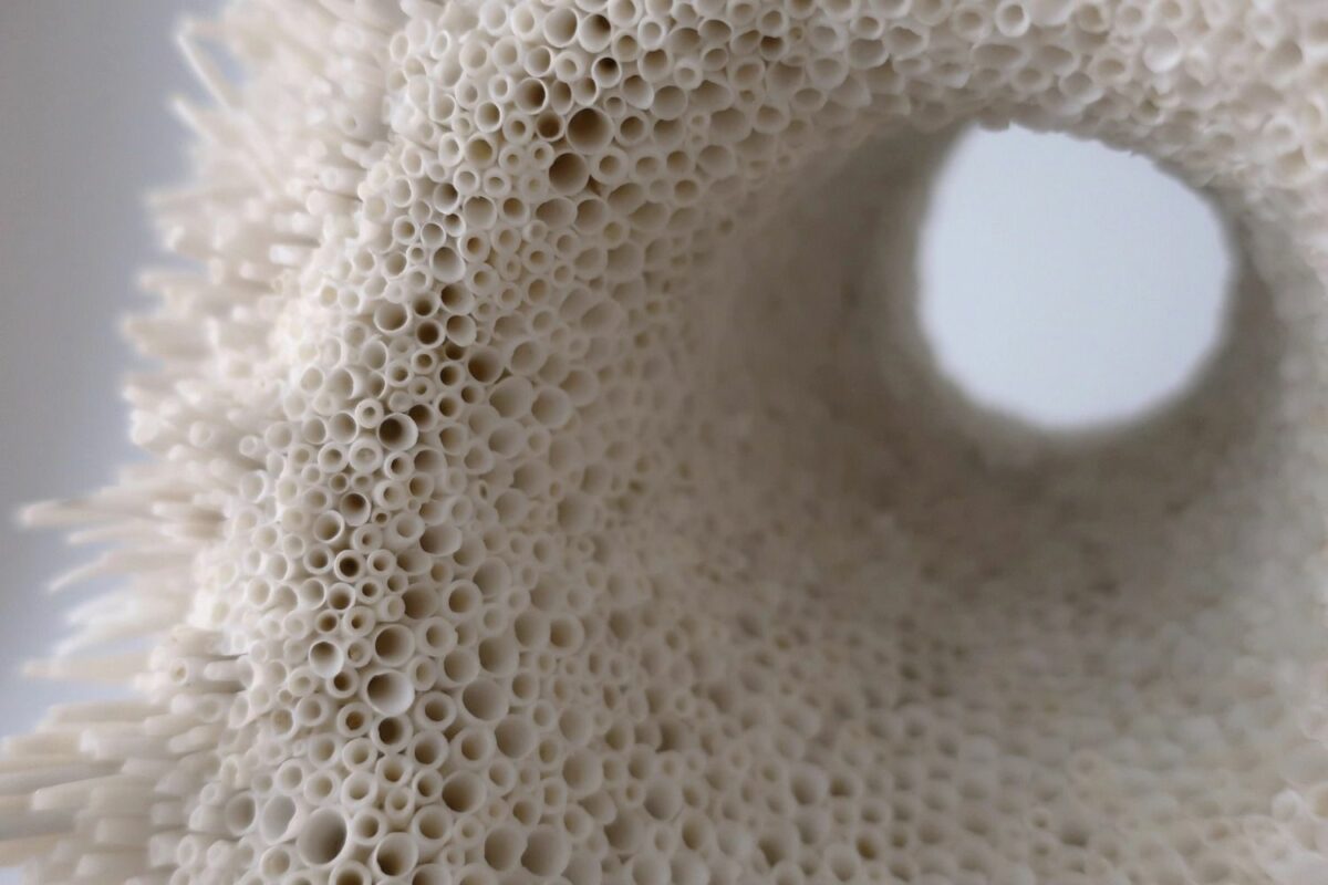 Abstract sculptures made with swirls of seashells by Rowan Mersh ...