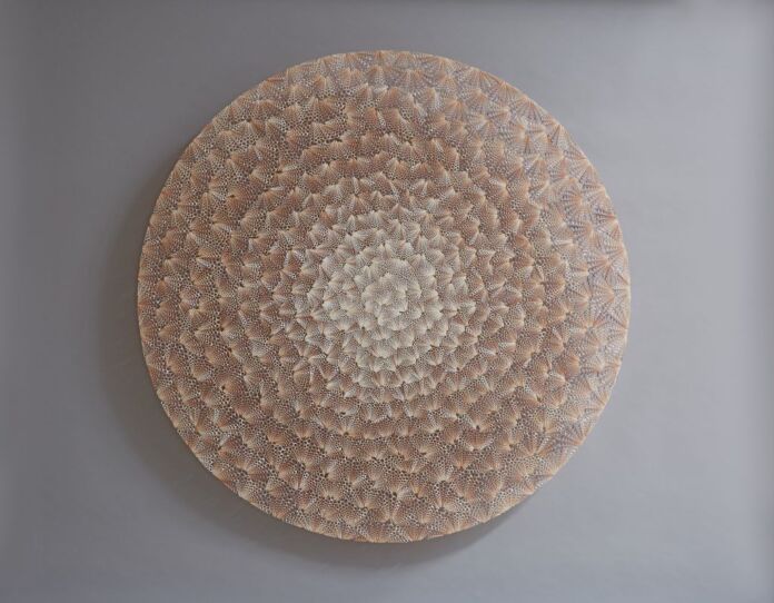 Rowan Mersh: abstract sculptures from swirls of seashells