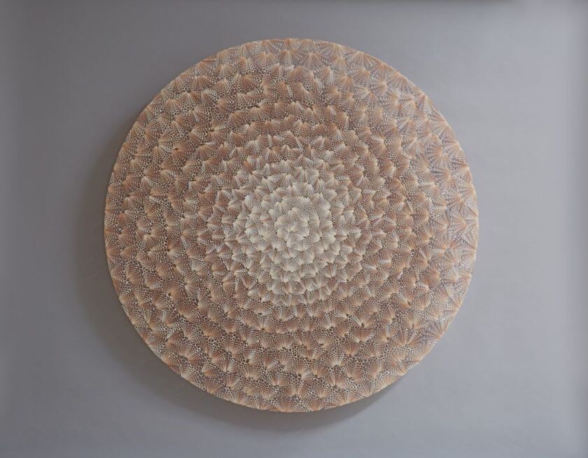 Rowan Mersh: abstract sculptures from swirls of seashells