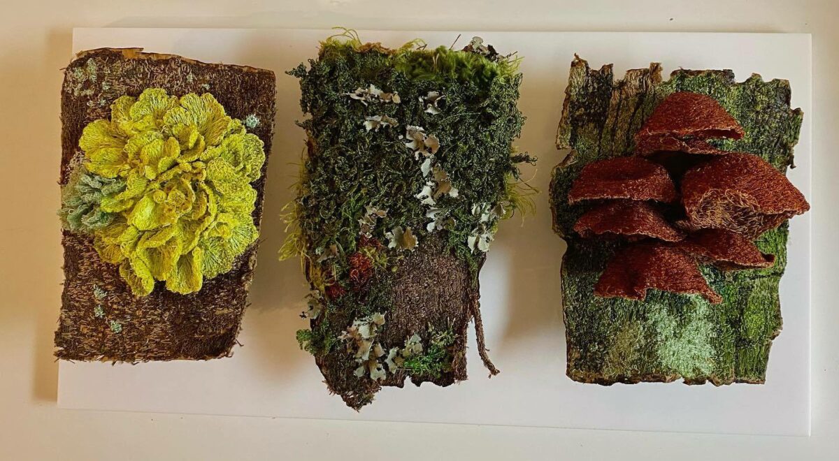 Amanda Cobbett: lifelike embroidered nature sculptures