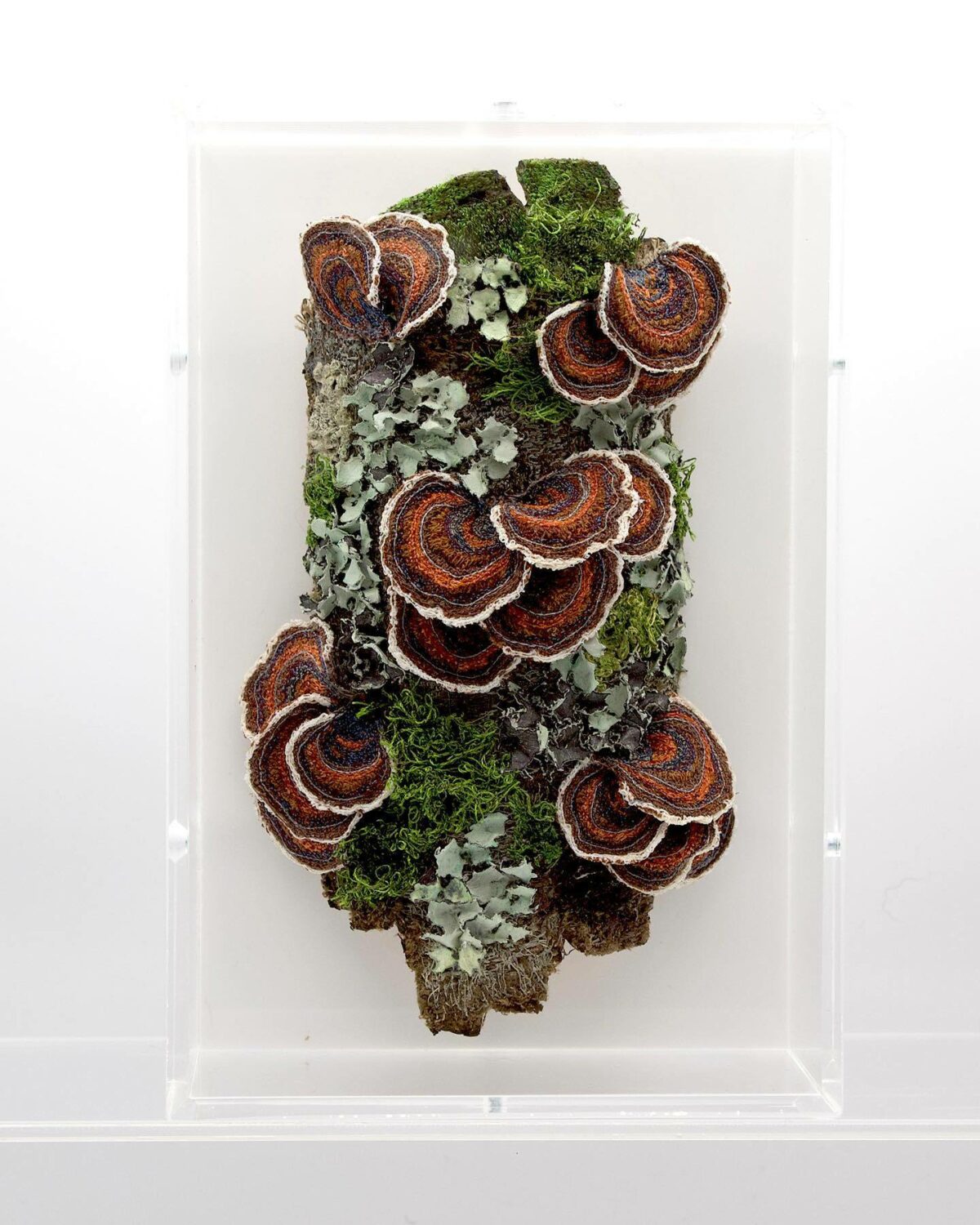 Attachment: Lifelike Embroidered Sculptures Of Mushrooms Lichen And Fungi By Amanda Cobbett 16 ...