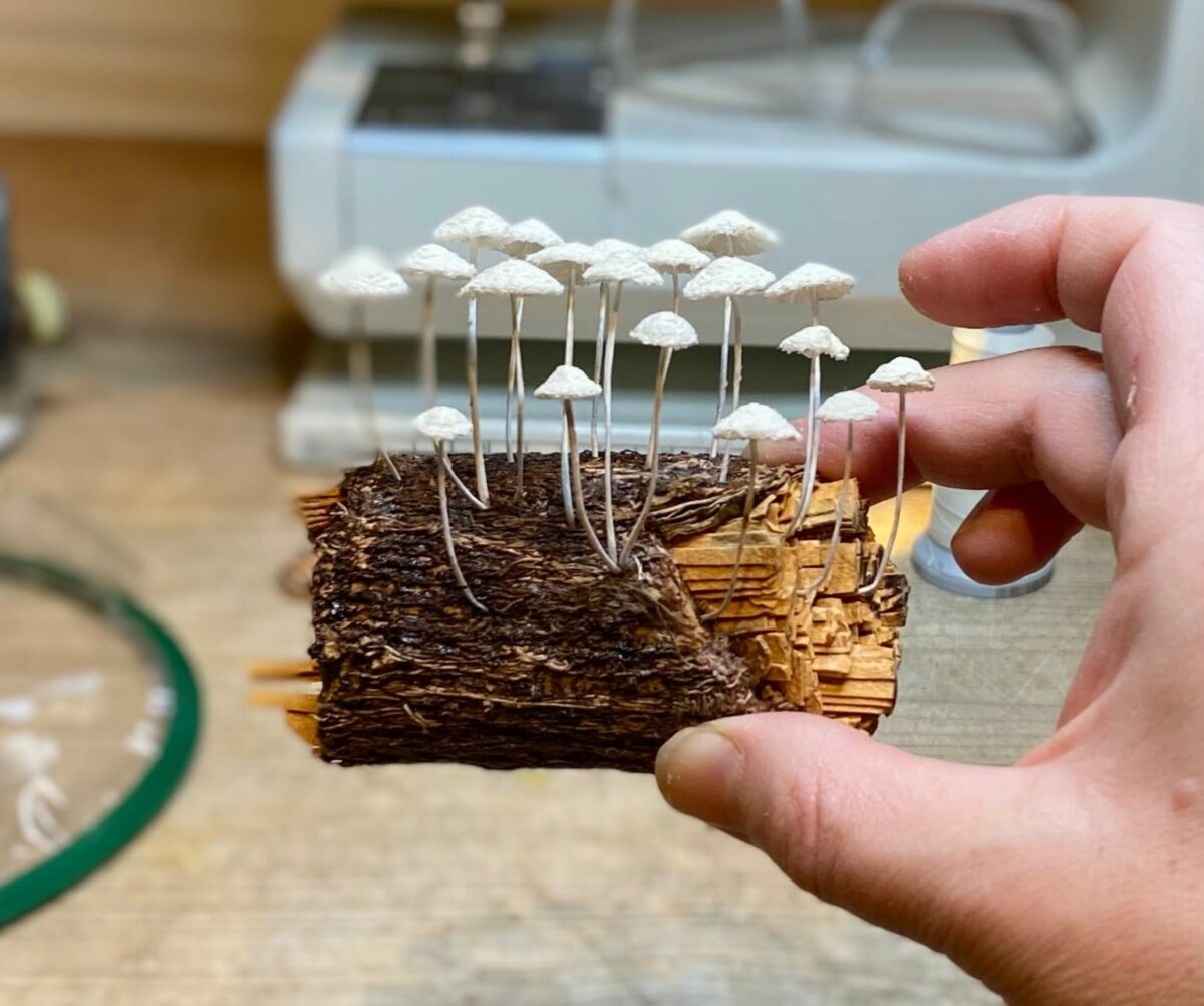 Stitching nature: the lifelike embroidered sculptures of Amanda Cobbett ...