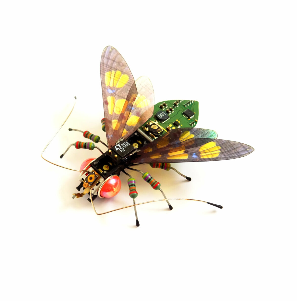 Transforming tech trash into art: Julie Alice Chappell's cyborg insect ...