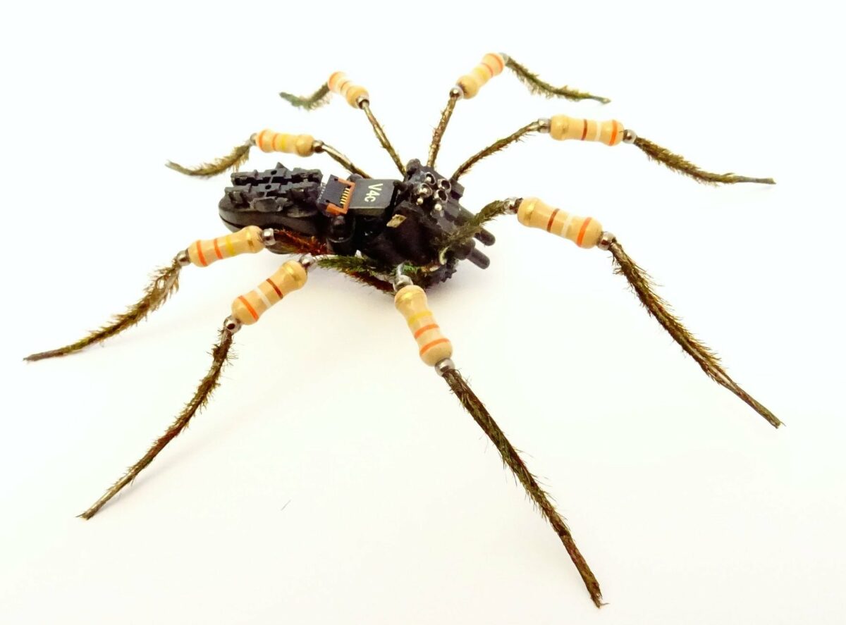 Transforming tech trash into art: Julie Alice Chappell's cyborg insect ...