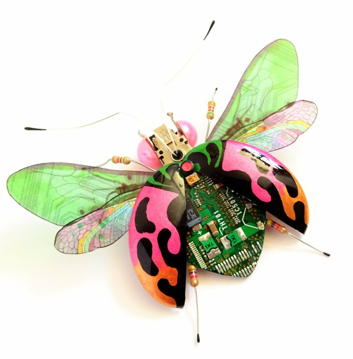 Transforming tech trash into art: Julie Alice Chappell's cyborg insect ...
