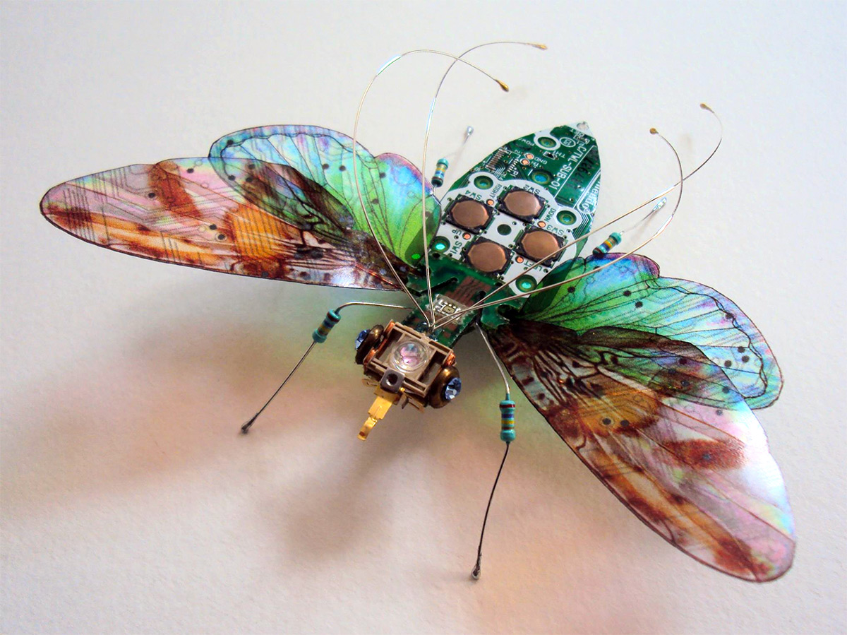Transforming tech trash into art: Julie Alice Chappell's cyborg insect ...