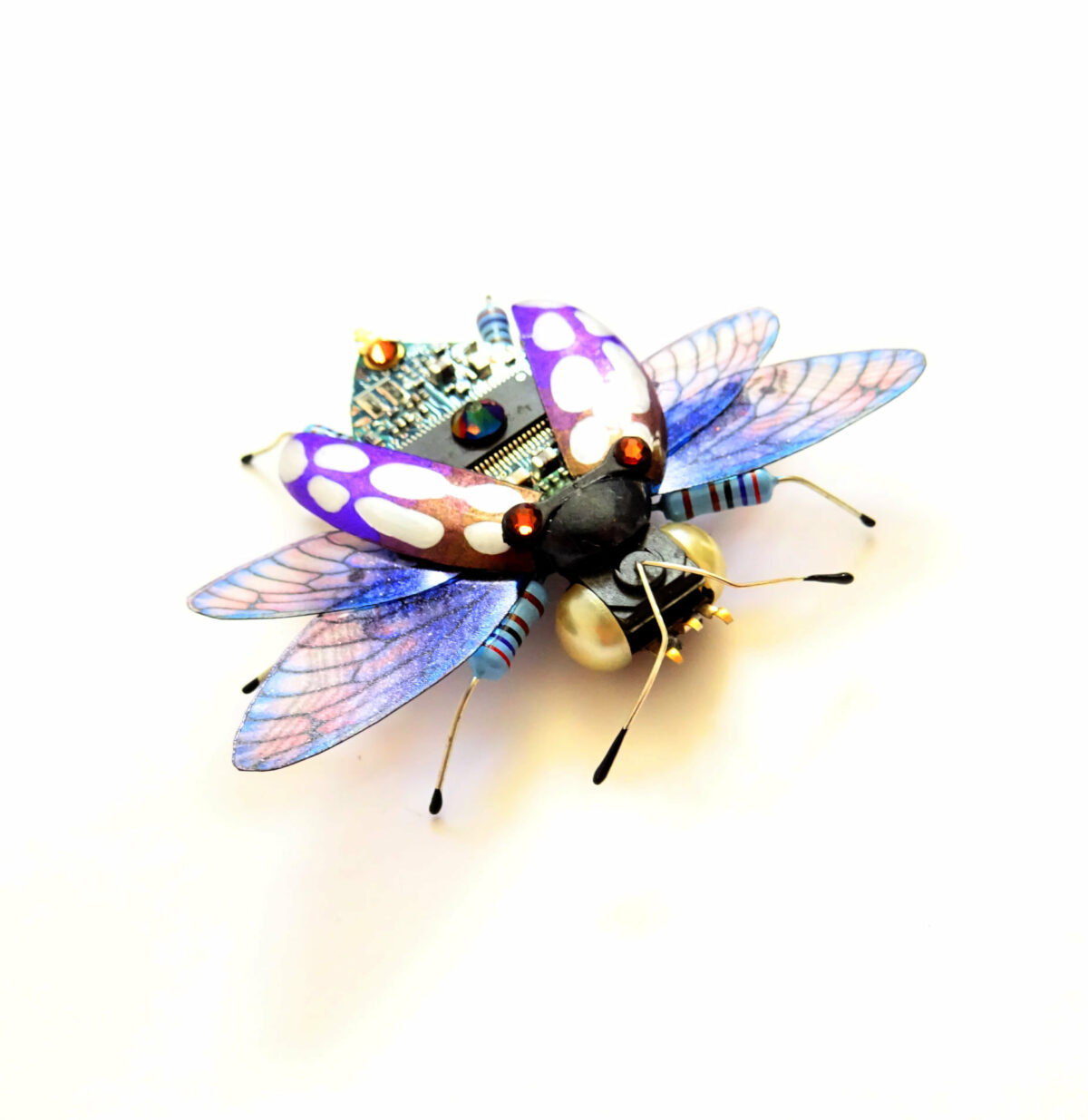 Cyborg insects: gorgeous winged insects made of discarded circuit ...